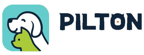 PILTON | 新智能寵物艙 | BDA Group